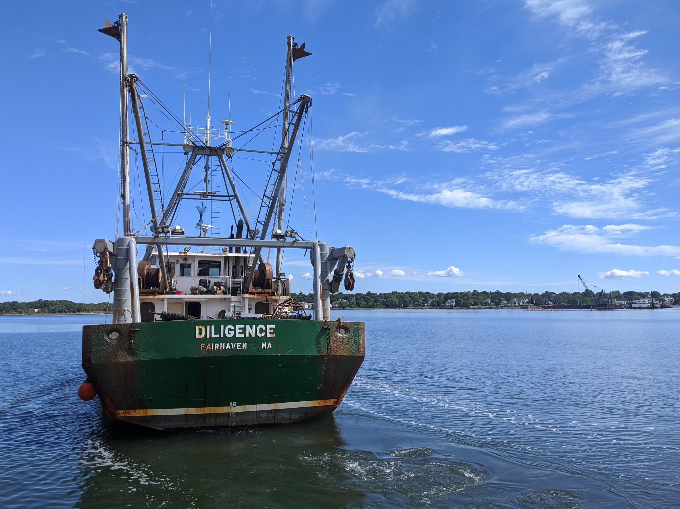 Scallop harvest in decline, reflecting drop in population - The New ...