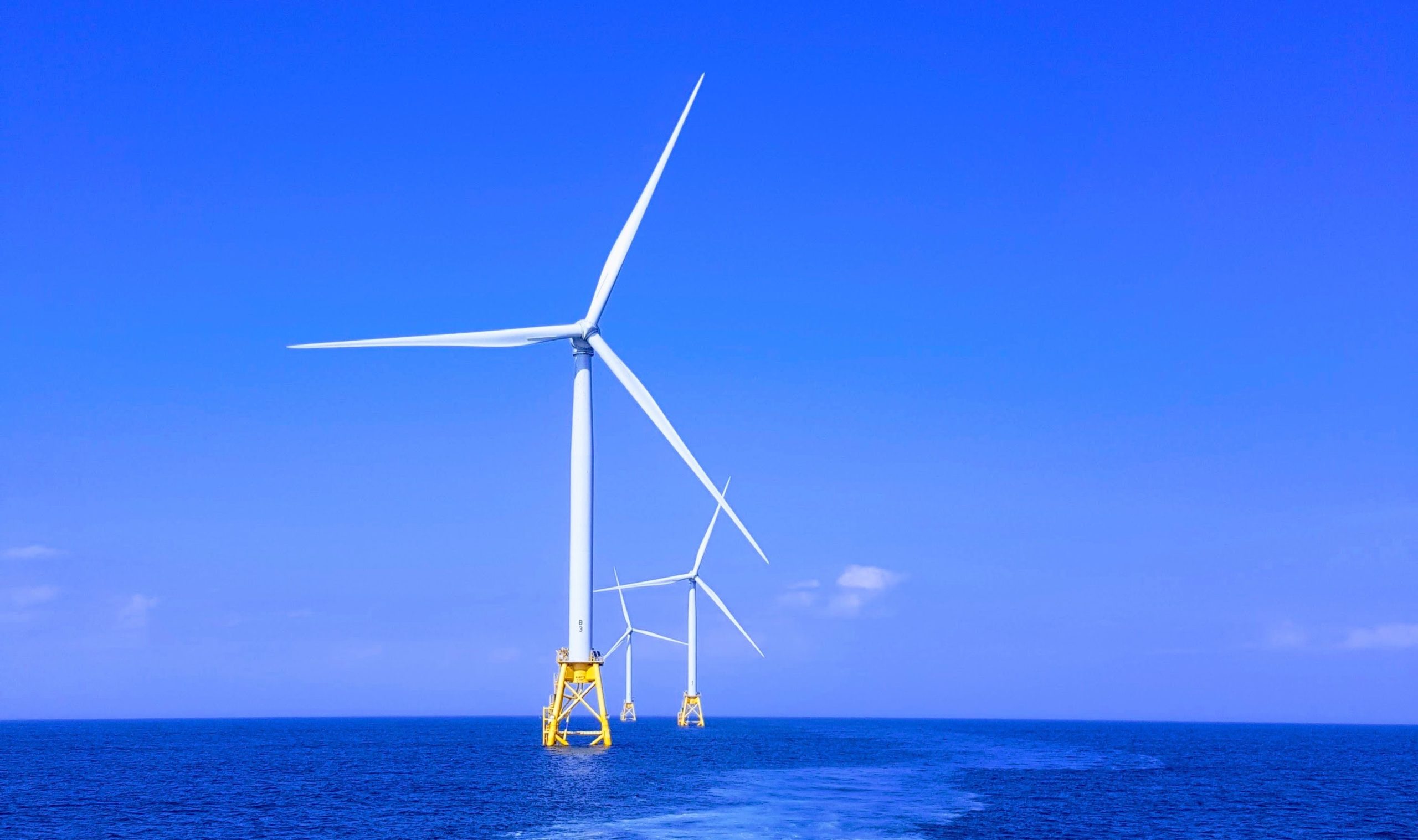 Save Right Whales group questions donations from wind power industry ...