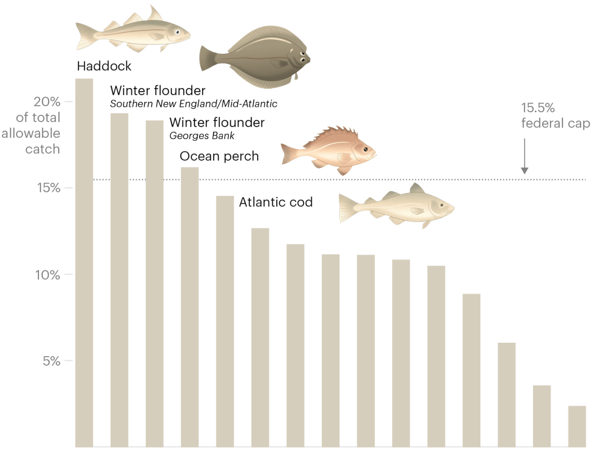 INVESTIGATION: How foreign private equity hooked New England’s fishing ...