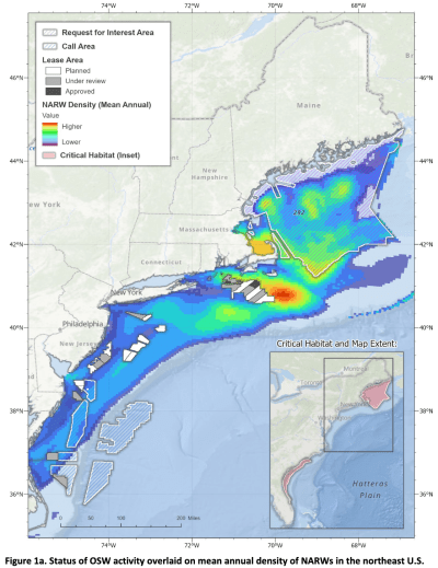 NOAA scientists propose more protection for right whales in offshore ...