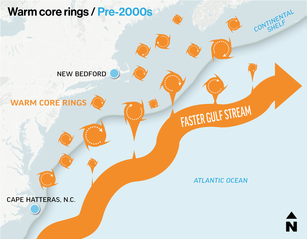 Warm waters bring exotic, tropical species to the South Coast - The New ...
