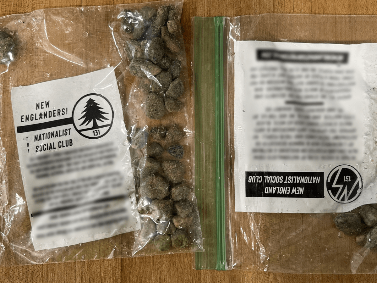 Hate group NSC 131 targets New Bedford neighborhood with flyers - The ...