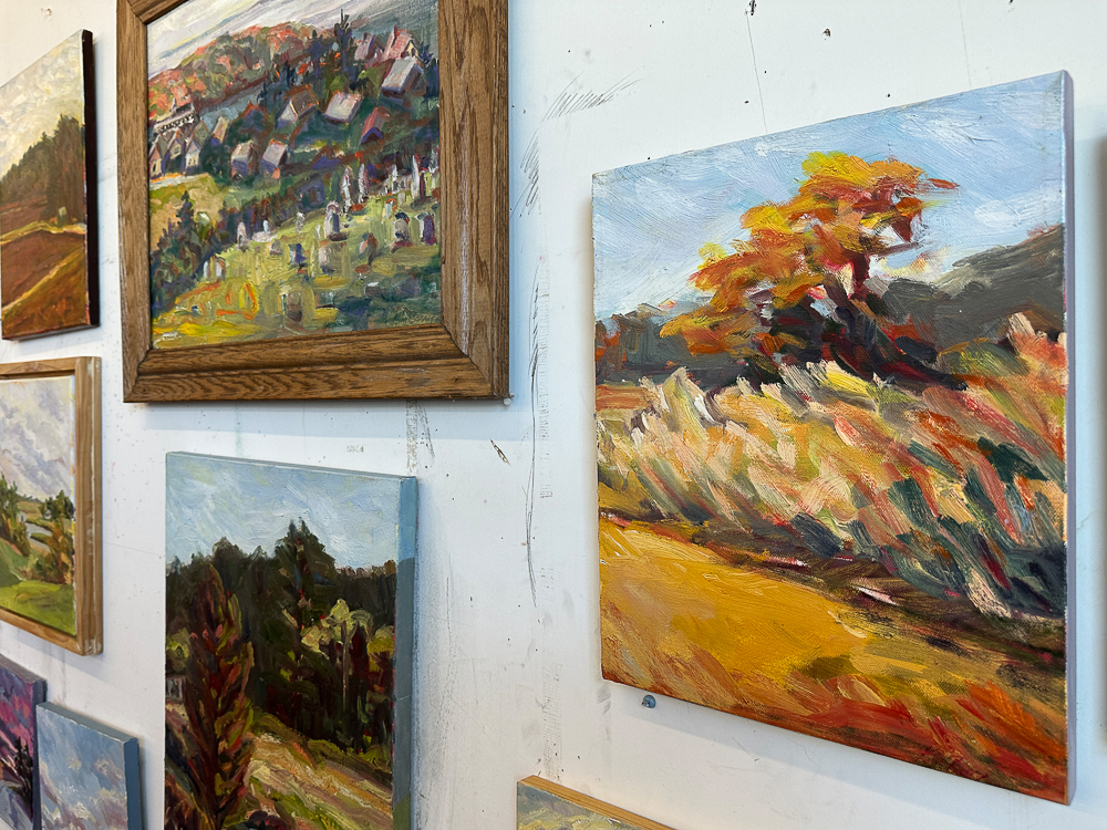 Kim Barry captures nature's palette through open-air painting - The New ...