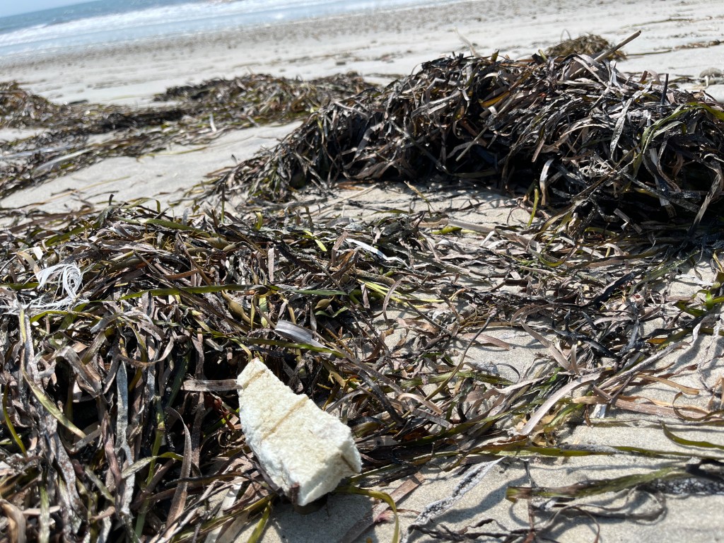 Vineyard Wind turbine blade parts land on Westport shores - The New ...