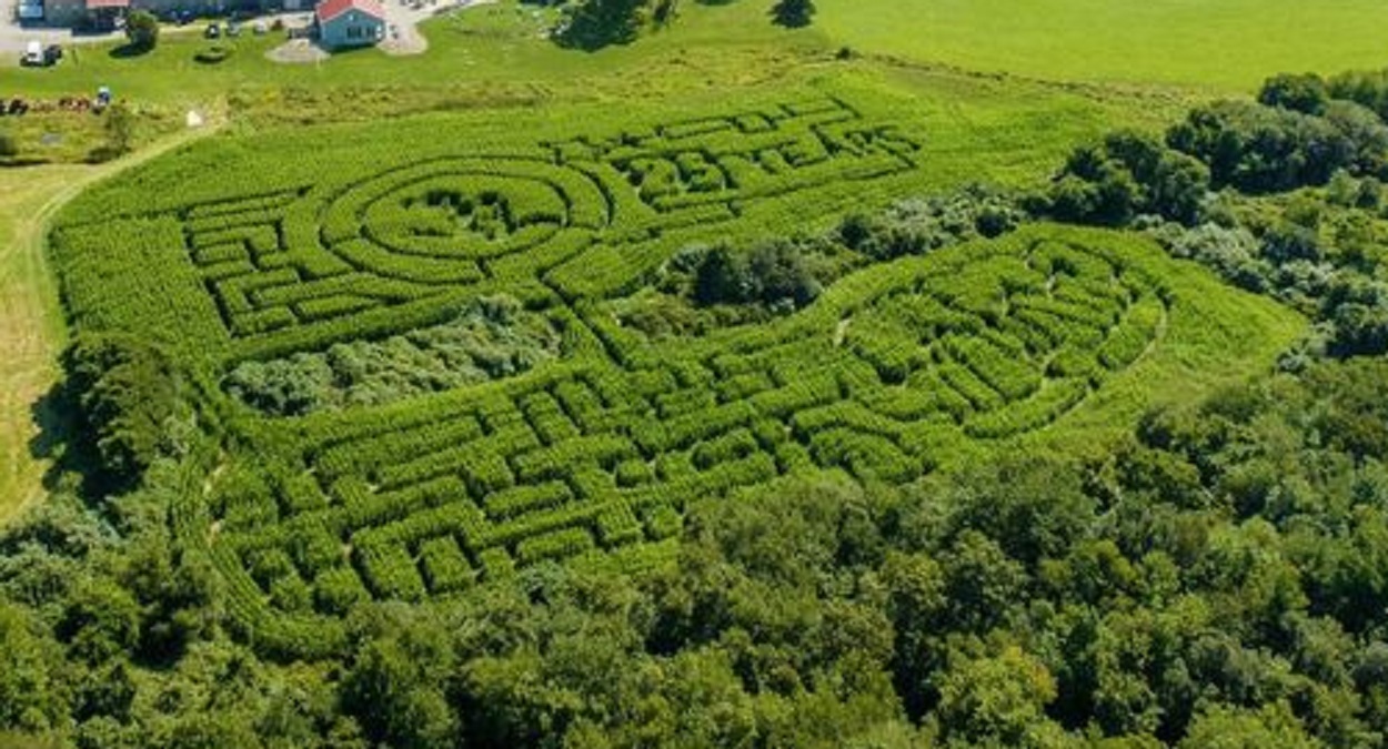 Music at the Maze - The New Bedford Light