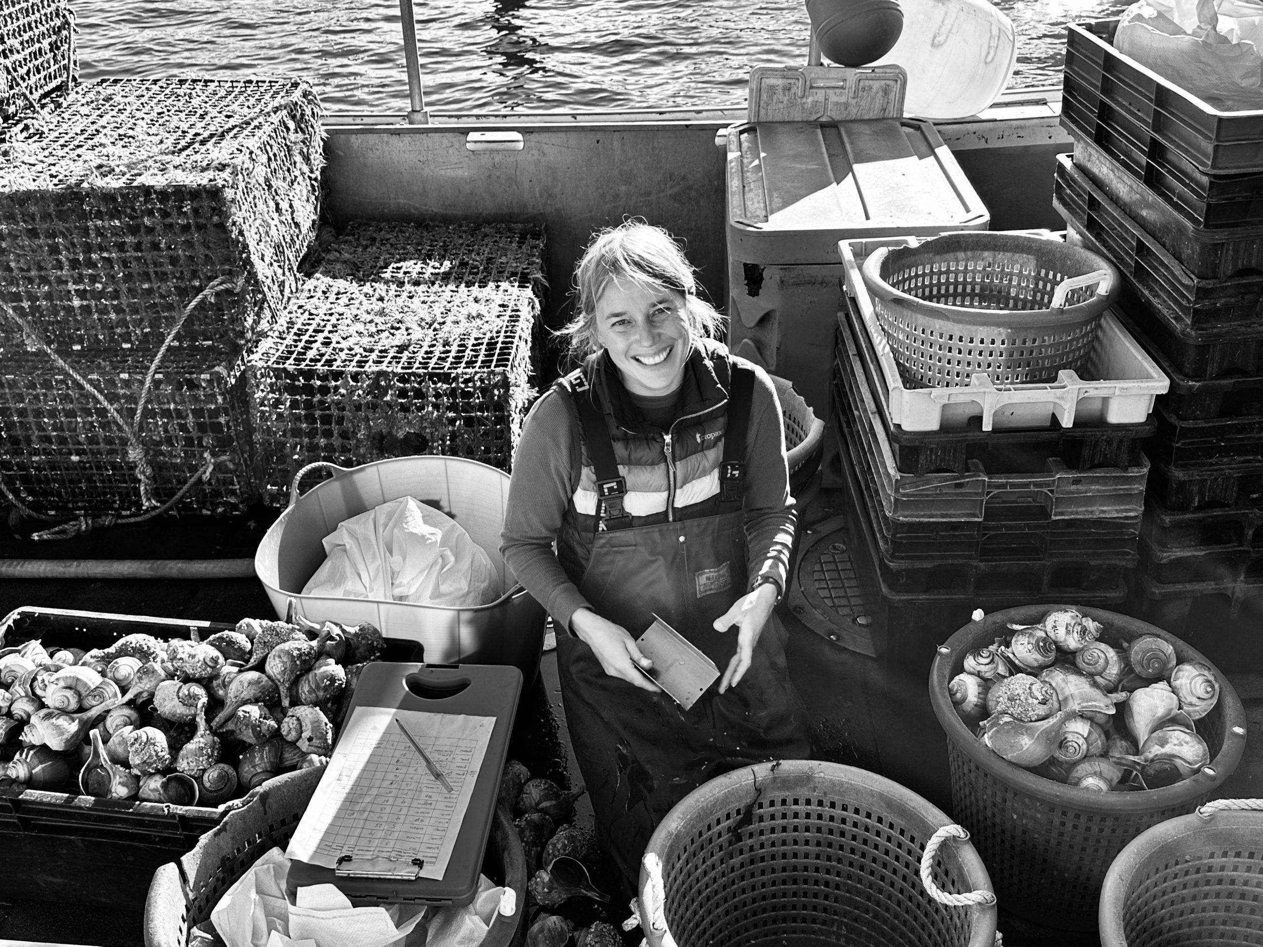 What happened to the 3,000 pounds of haddock seized in a fish-plant ...
