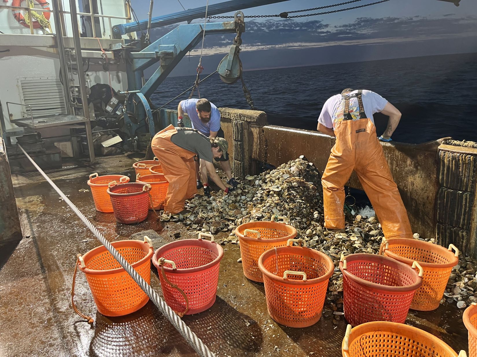 Rules would limit scallop haul in 2025 if NOAA approves - The New ...