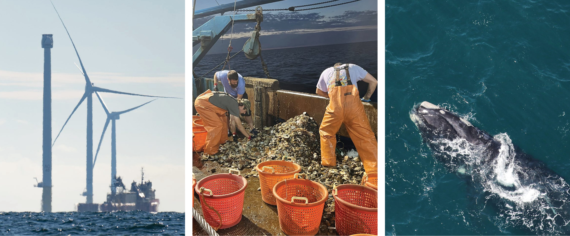 The science the South Coast lost in 2025 - The New Bedford Light